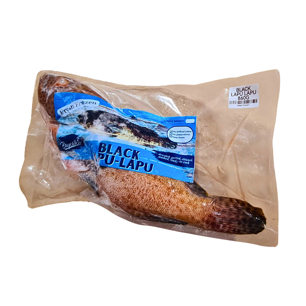 Grouper (Lapu-Lapu) – Baycatch PH